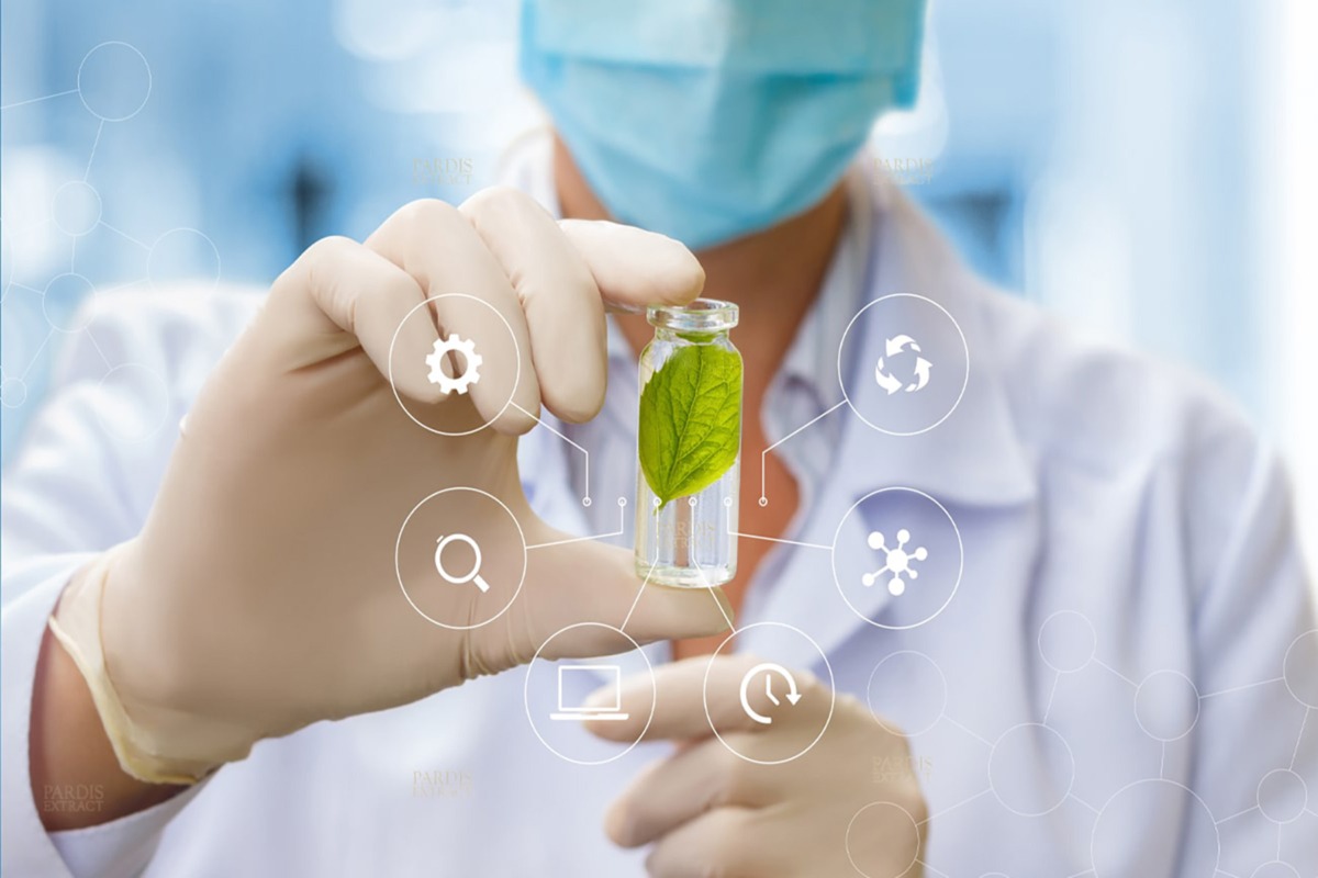 pardisextract - English